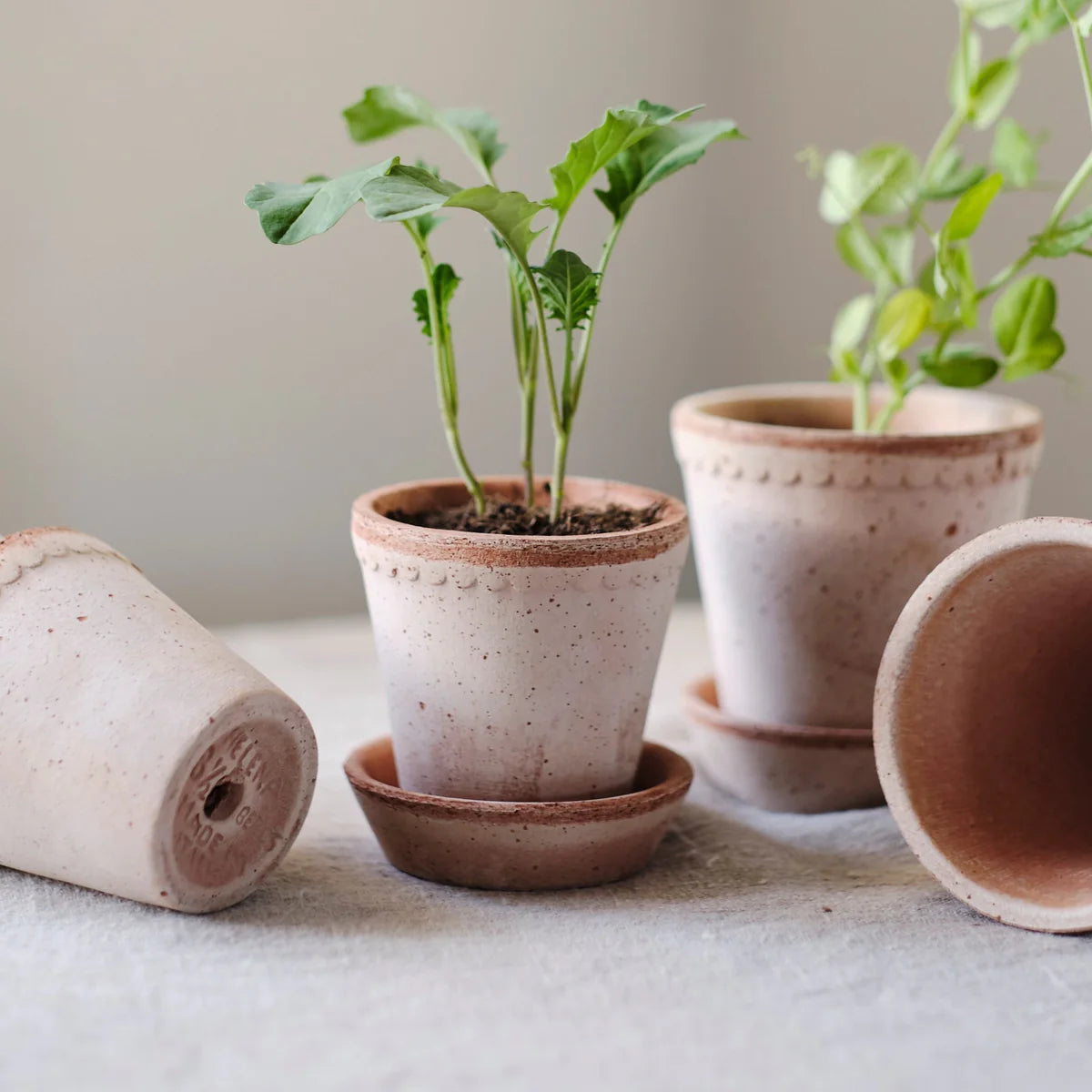 Bergs Potter Helena Pot | Italian Terracotta Pottery | Purple Rose Home ...