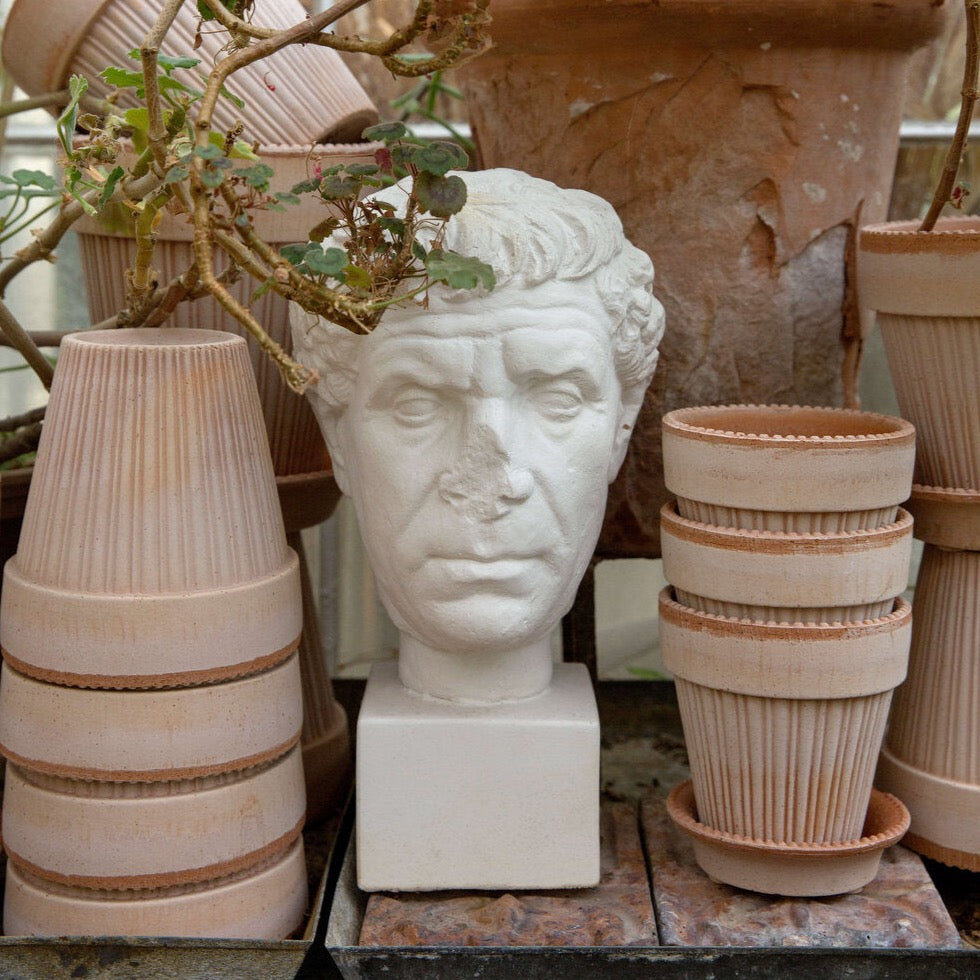 Bergs Potter Simona Pot | Italian Terracotta Pottery | Purple Rose Home